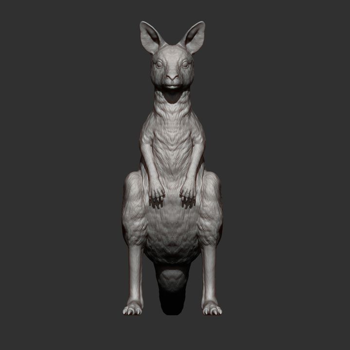 3D Printable Baby kangaroo by AKUZMENKO
